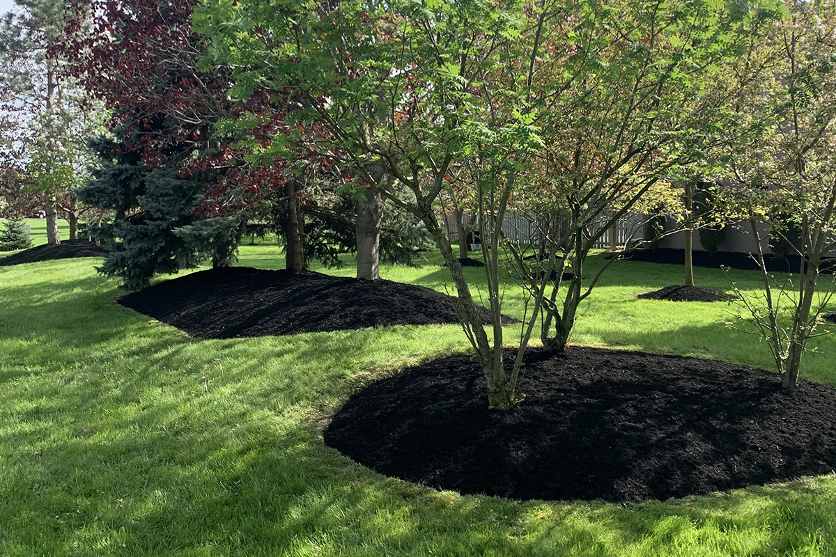 Mulch Installation – WNY Services LLC